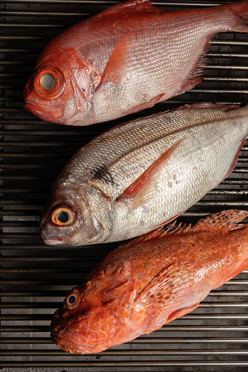 El Mejor Pescado de Tenerife | Grupo La Brasa